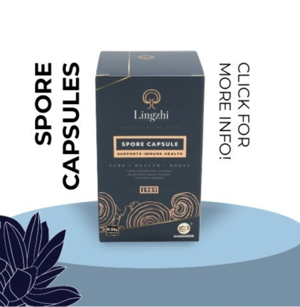 Coco Vogue – Touch of Heaven